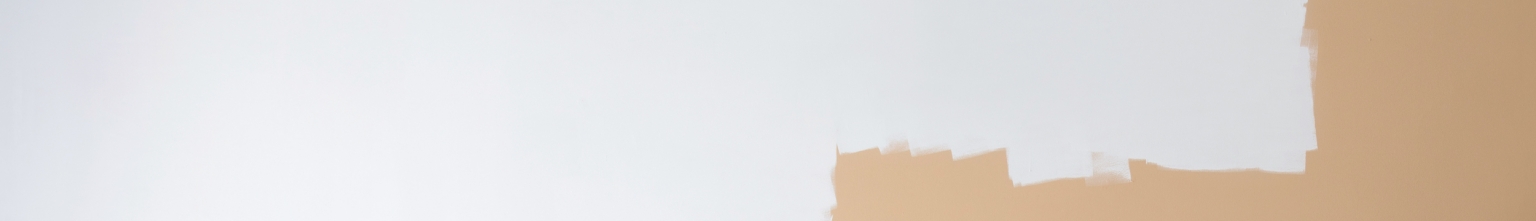 Solvent Based Plaster Primer - Proton Paints